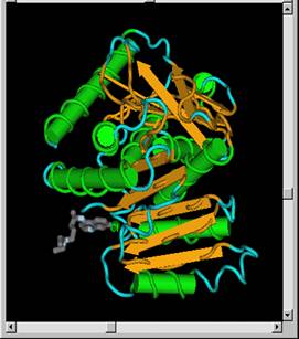 PowerPoint Presentation