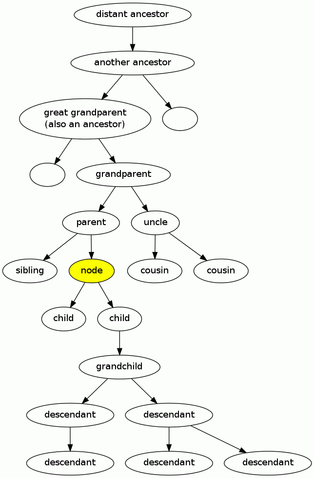 Css 343 Data Structures And Algorithms Lecture 5 