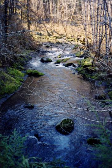 Slope Stability and Mass Wasting