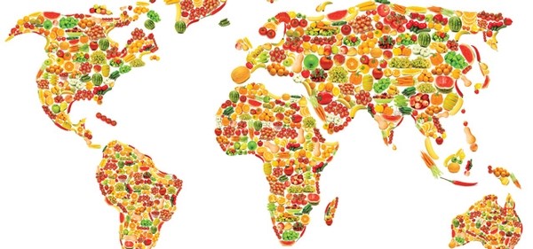 The Sustainability of Food that We Miss – Political Ecology of the ...