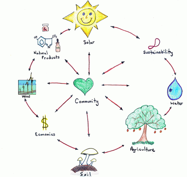 A Living System at Each Level – Political Ecology of the World Food System