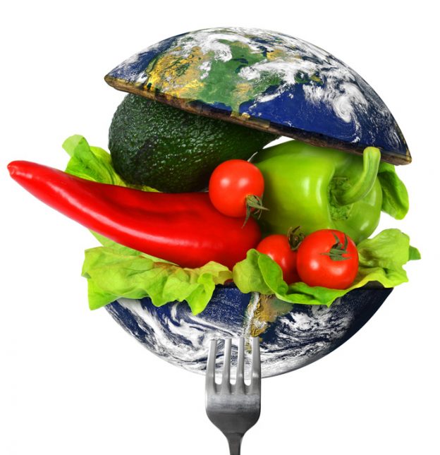 Contemplating Climate Complexity – Political Ecology of the World Food ...